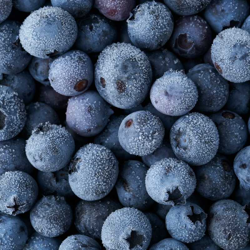 Frozen Blueberries | Cool&Simple
